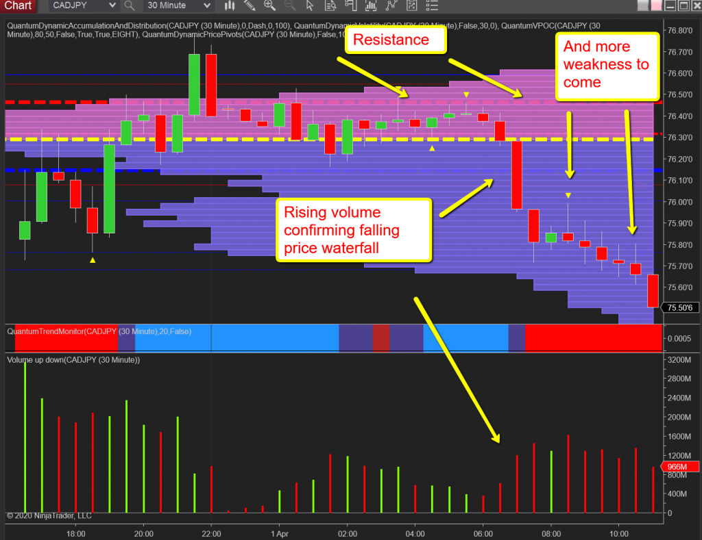 Several volume price analysis lessons! | Anna Coulling