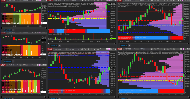 The beauty of trading futures using tick charts | Anna Coulling